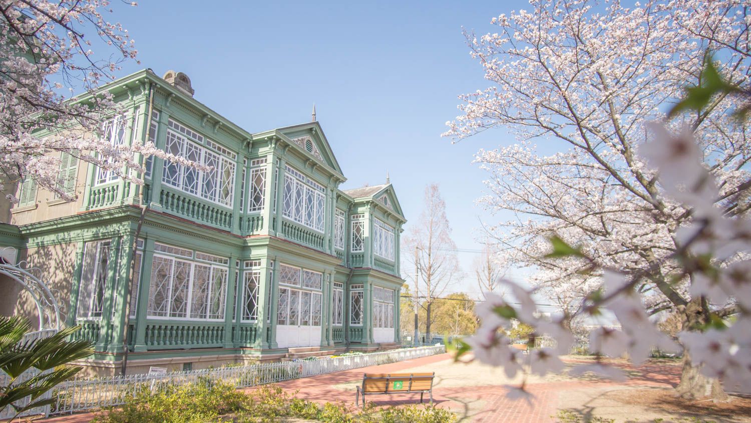 Japan in Spring: Osaka, Nara, Kobe | Trisha Lim